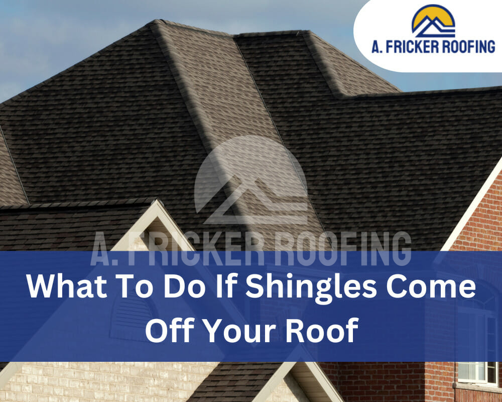What to Do If Shingles Come Off Your Roof: A Step-by-Step Guide
