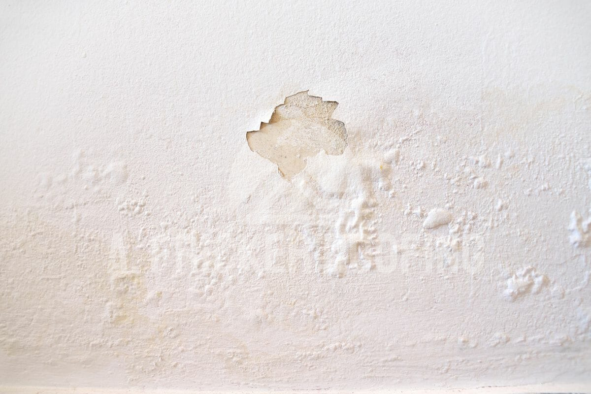 Exploring The 5 Most Common Problems With Metal Roofs