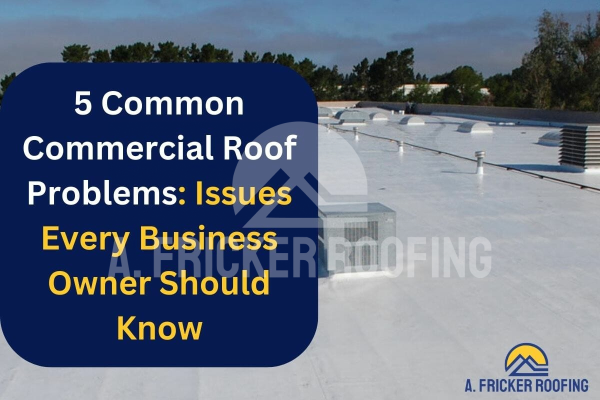5 Common Commercial Roof Problems: Issues You Should Know