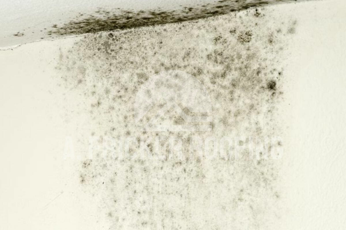 Apartment Roof Leaks: Causes, Prevention, and Repairs