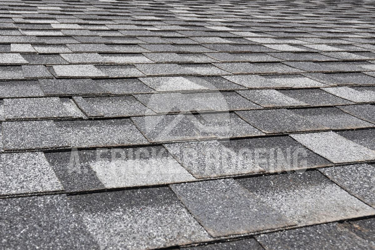 Why Are Asphalt Shingles So Popular (& Top Competitors)