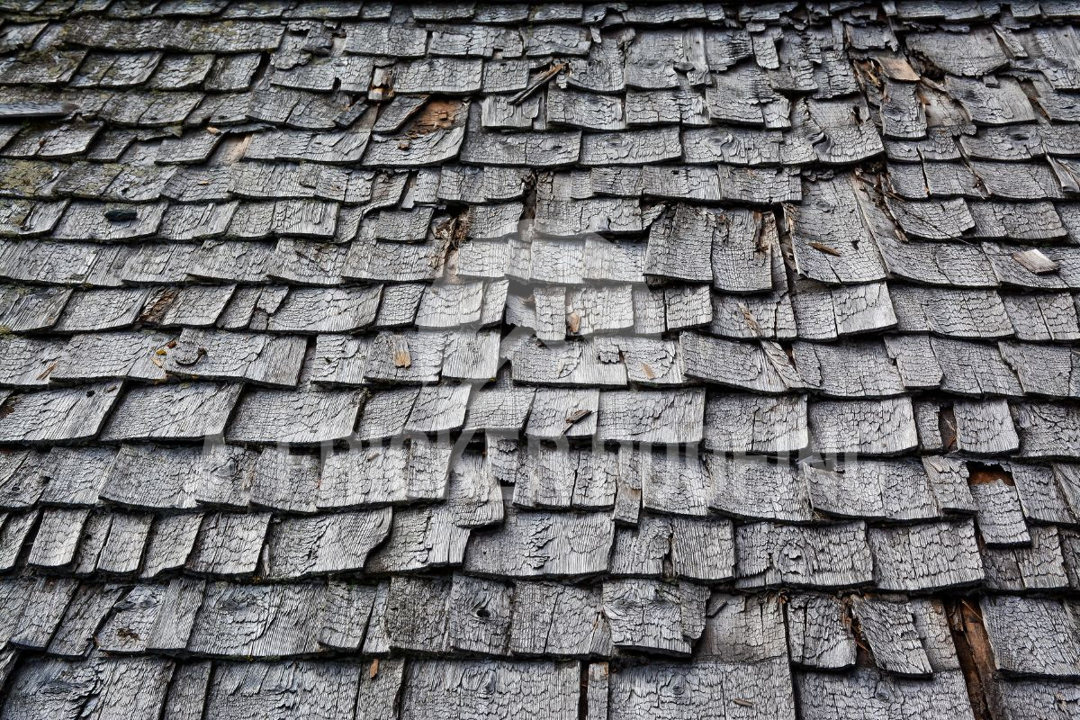 A Closer Look at the Types of Roof Leaks and Their Causes