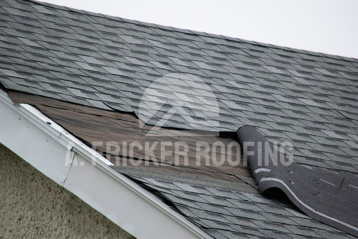 5 Steps To Identify Defective Roof Shingles (& What To Do)