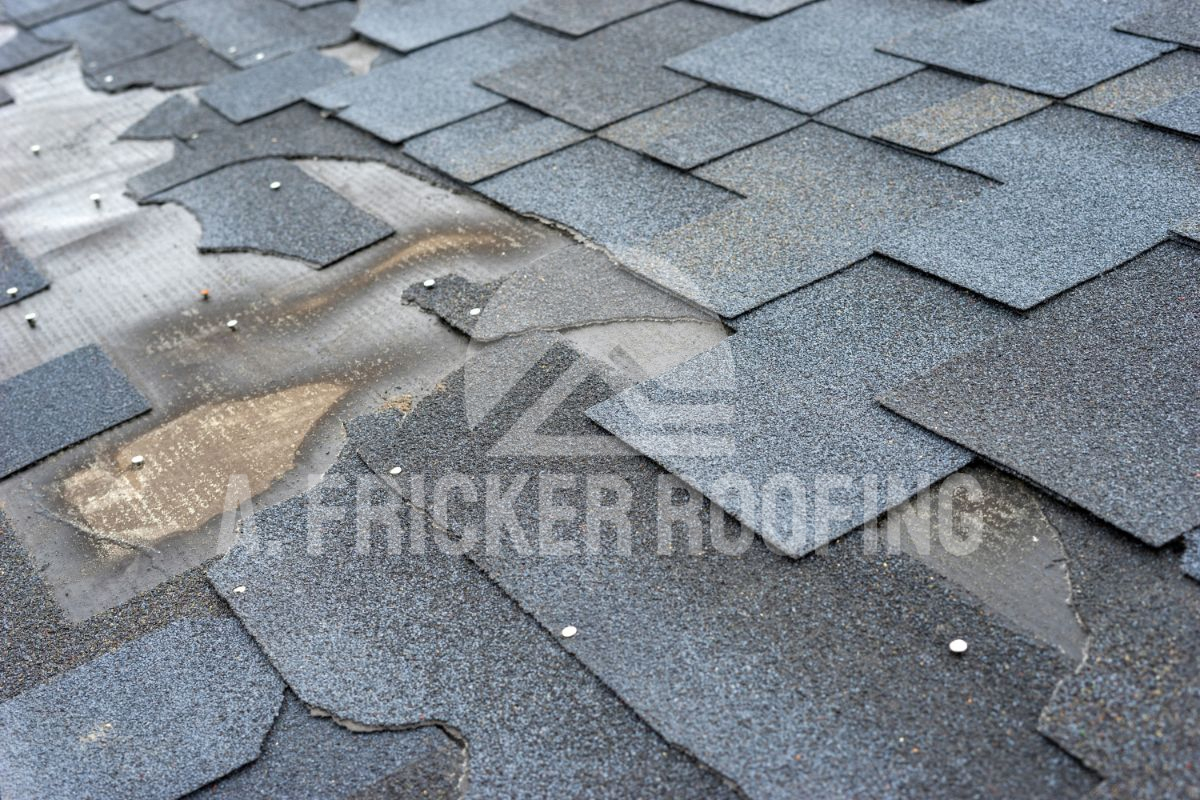 What Soft Spots Mean for Your Roof & How To Fix It