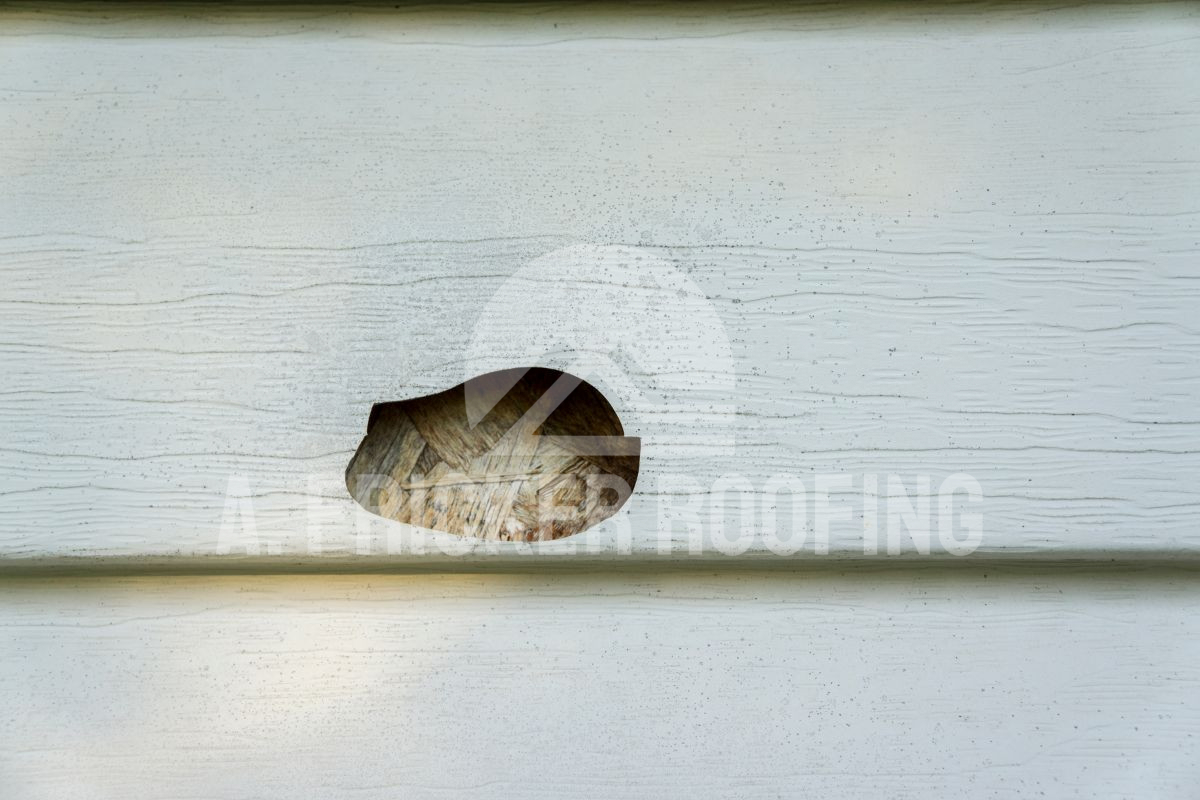 Signs of Hail Damage on Vinyl Siding and How to Fix Them