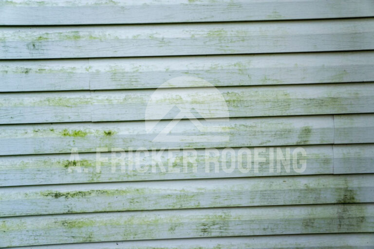 How to Prevent Wood Siding from Rotting at the Bottom