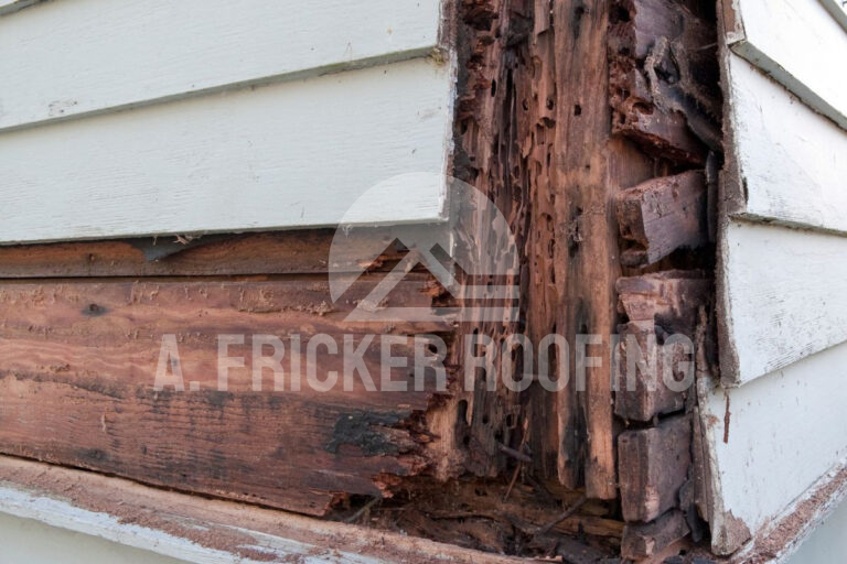 How to Prevent Wood Siding from Rotting at the Bottom