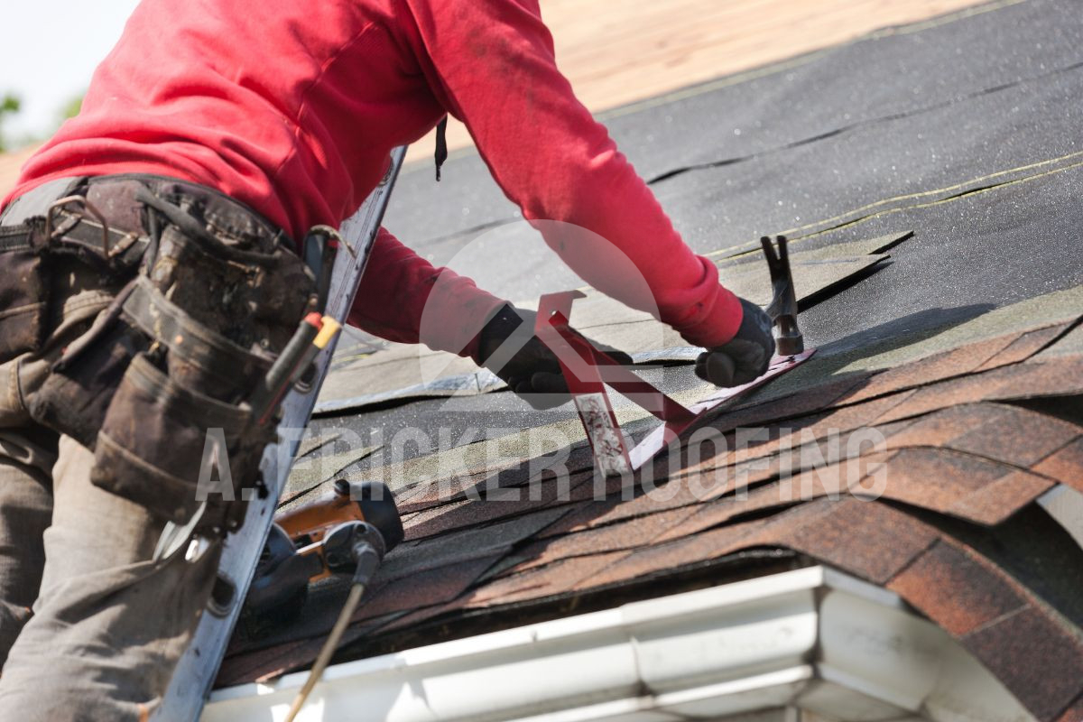 Step-by-Step Guide On Dealing With Tree Damage Roof Repair