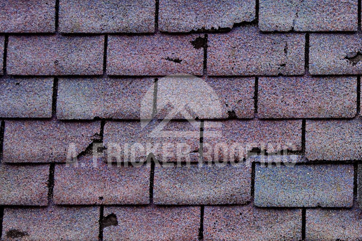 Signs That You Have An Aging Roof and What To Do Next