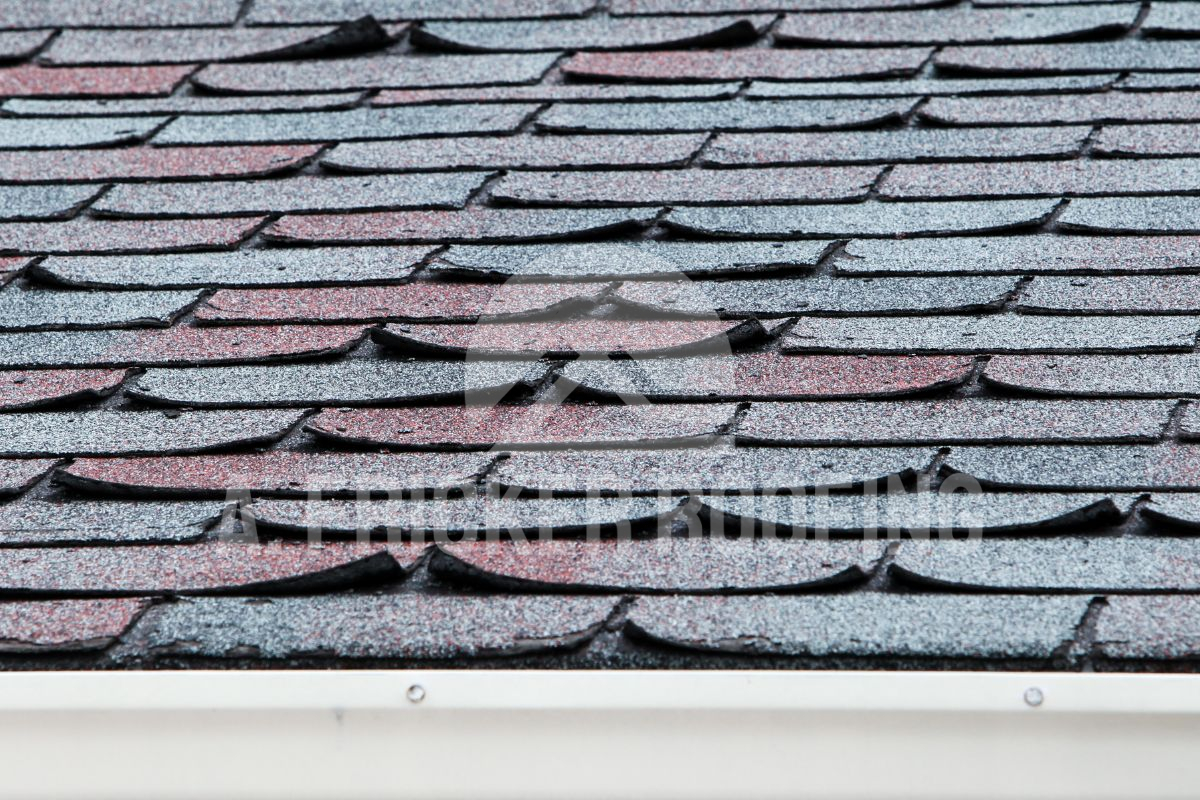 Guide To Shingle Roof Maintenance For Residential Roofs