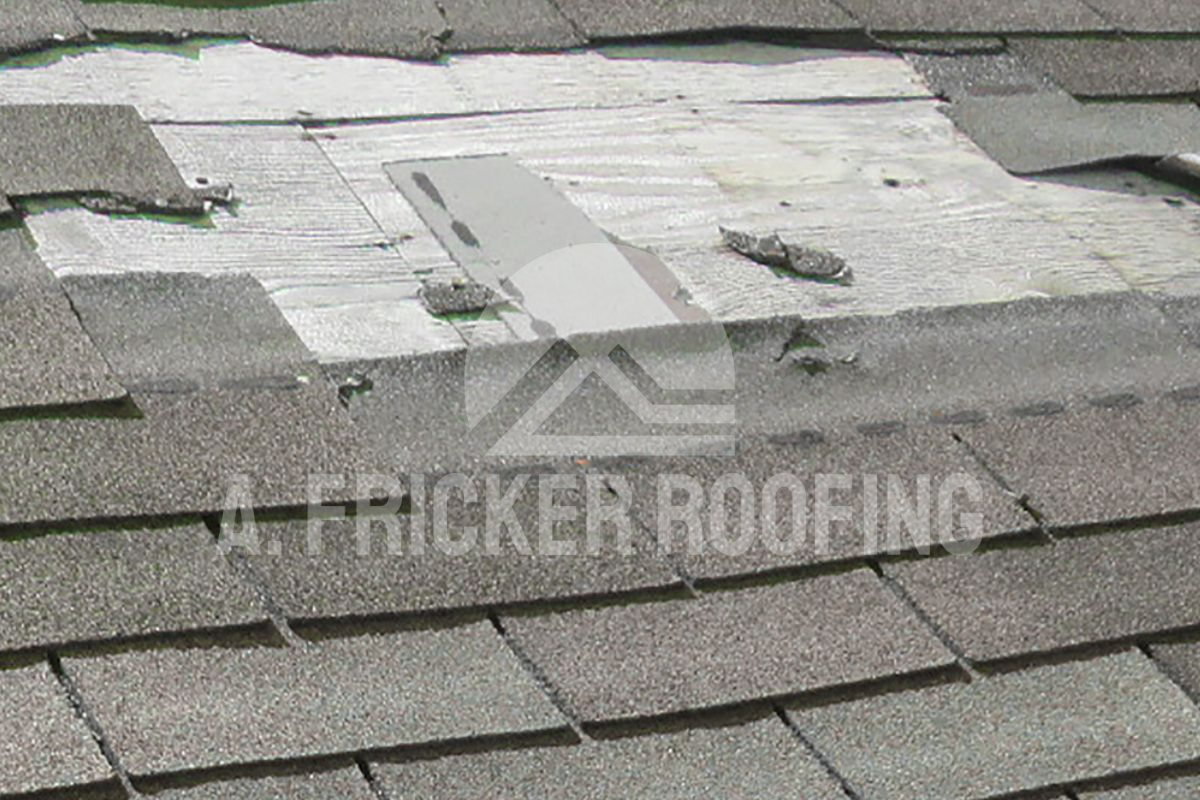 Guide To Shingle Roof Maintenance For Residential Roofs