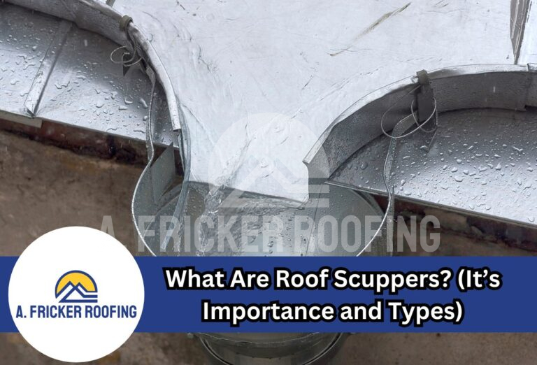 What Are Roof Scuppers? (It’s Importance and Types)