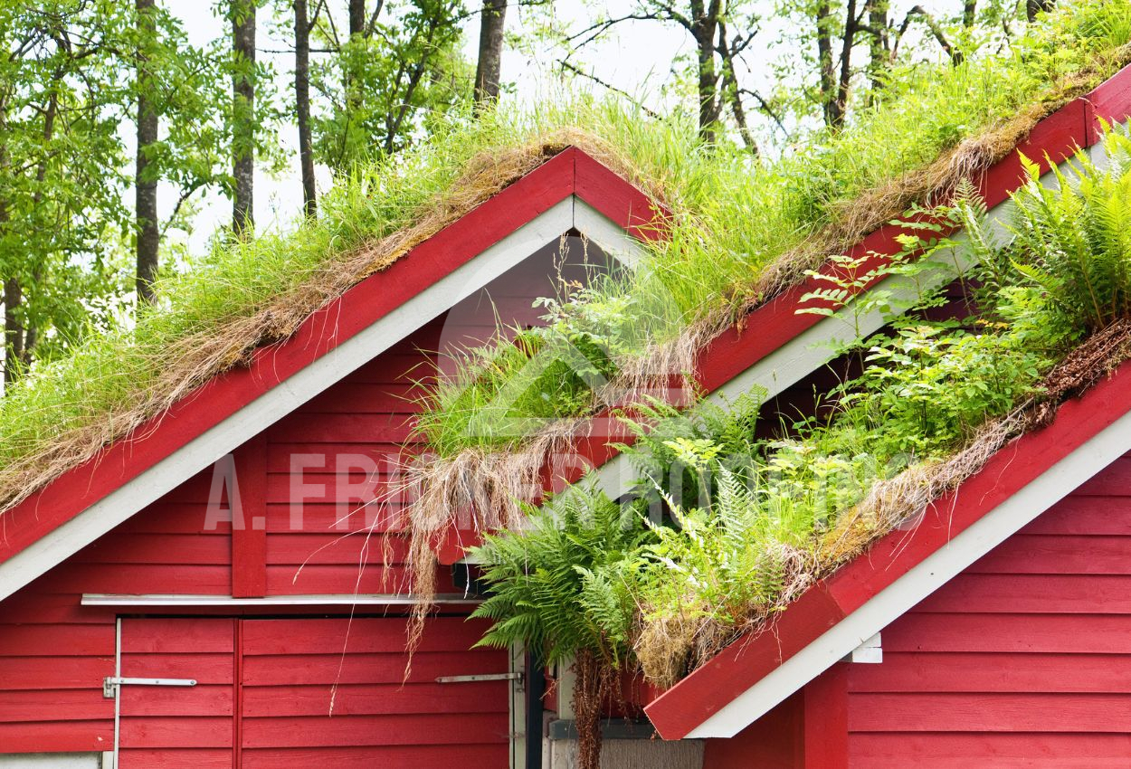 What Is Green Roofing? Your Guide To Sustainable Options