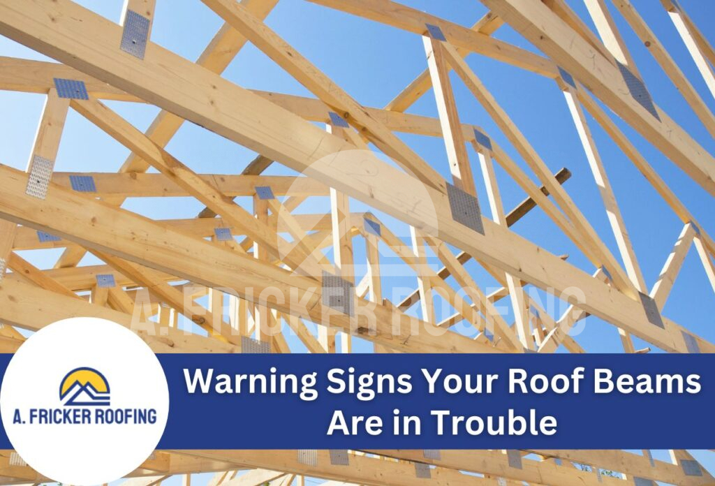 Warning Signs Your Roof Beams Are in Trouble | A. Fricker Roofing and Waterproofing